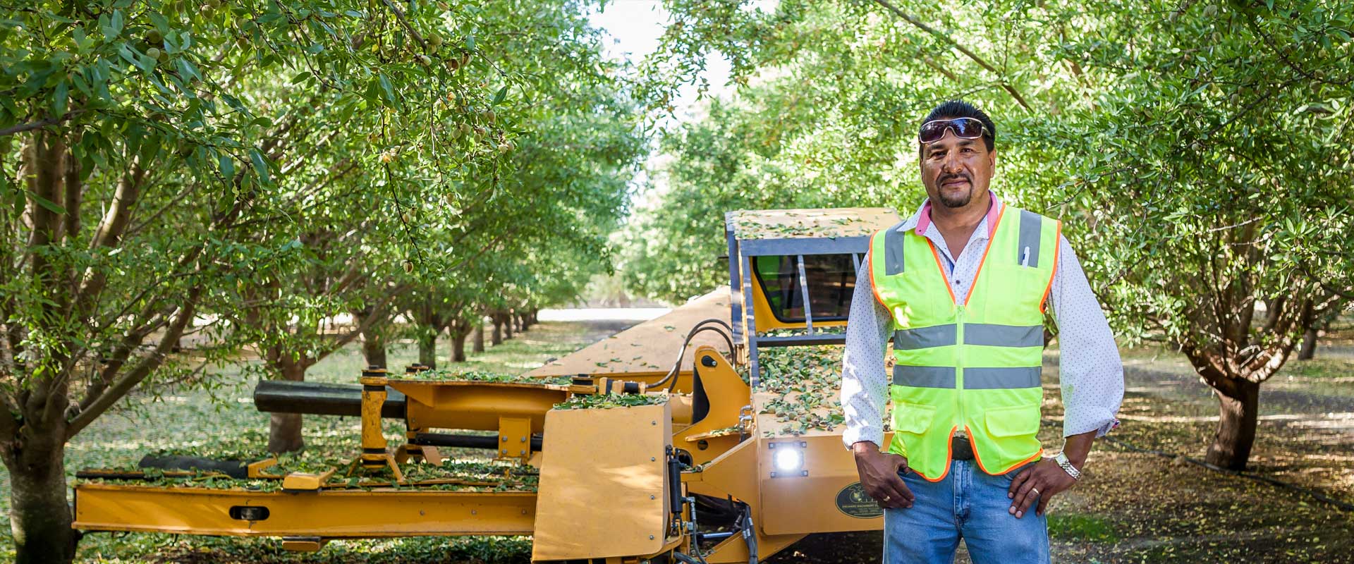 Who We Are - SunnyGem